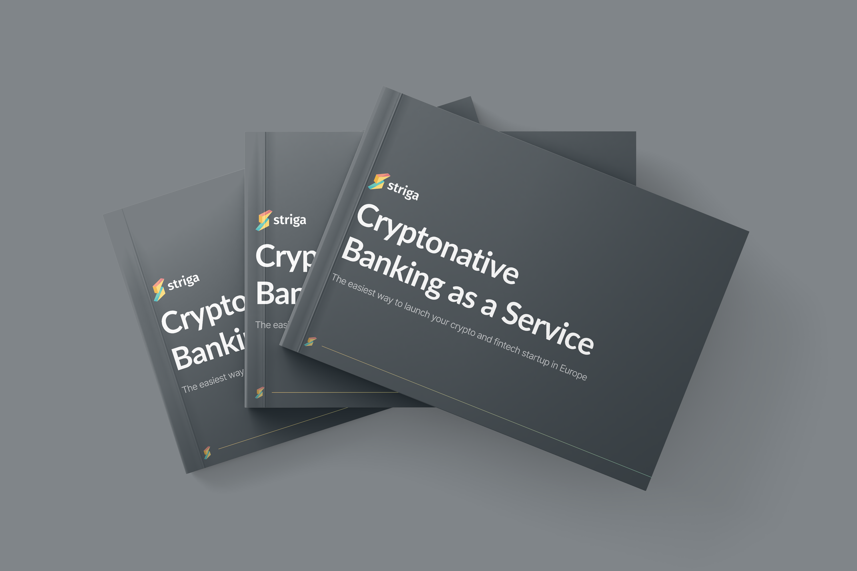 Get Started with Striga | Striga - Beyond Banking